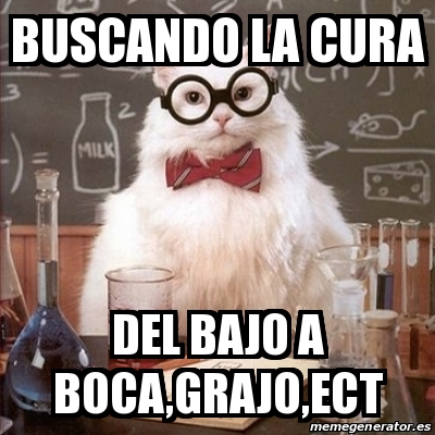 Meme Chemistry Cat - Buscando la cura del bajo a boca,grajo,ect - 19173302