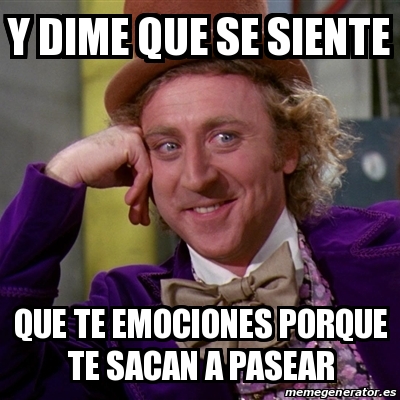 Meme Willy Wonka - Y dime que se siente Que te emociones porque te ...