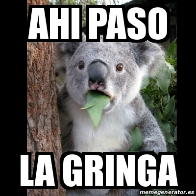 Meme Koala - ahi paso la gringa - 19262056
