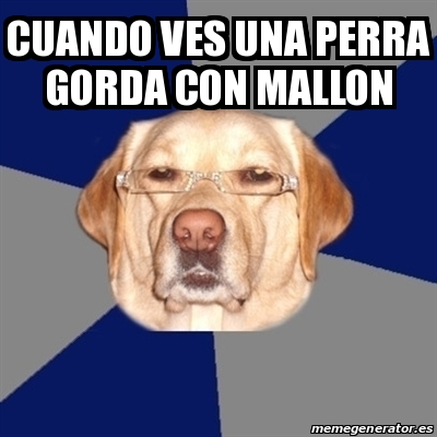 Meme Perro Racista - Cuando ves una perra gorda con mallon - 19277322