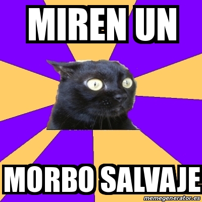 Meme Anxiety Cat - miren un morbo salvaje - 19287372