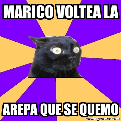 Meme Anxiety Cat - MARICO VOLTEA LA AREPA QUE SE QUEMO - 19287937