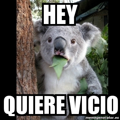 Meme Koala - hey quiere vicio - 19289966