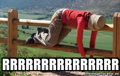 Meme Personalizado - rrrrrrrrrrrrrrr - 19306596