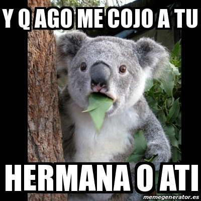 Meme Koala - Y q ago me cojo a tu Hermana o ati - 19319845