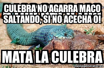 Meme Personalizado - Culebra no agarra maco saltando, si no acecha o ...