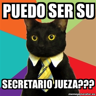 Meme Business Cat - Puedo ser su Secretario Jueza??? - 19328899
