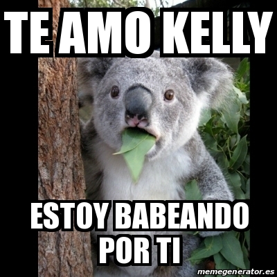 Meme Koala - Te Amo Kelly Estoy Babeando por TI - 19354878
