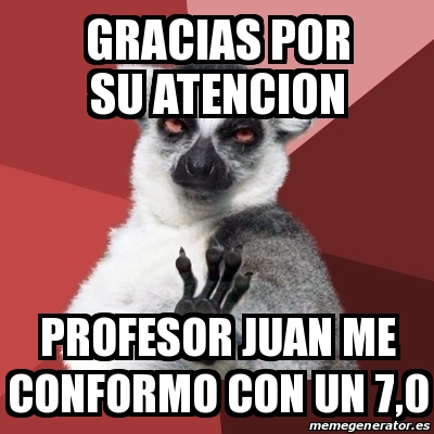 Meme Chill Out Lemur - gracias por su atencion profesor juan me ...