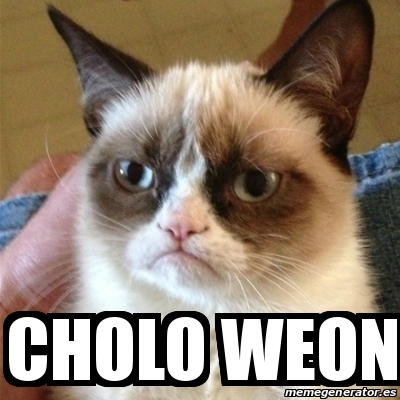 Meme Grumpy Cat - cholo weon - 19396379