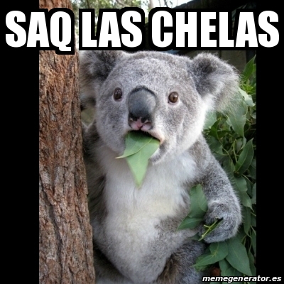 Meme Koala - Saq las chelas - 19400875