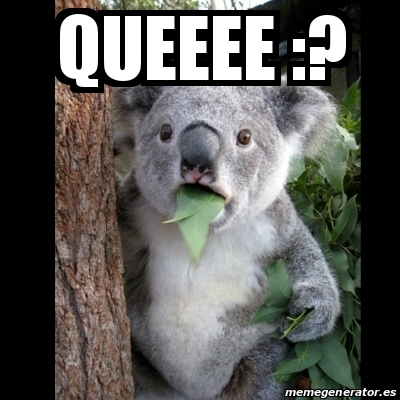 Meme Koala - queeee :? - 19425085