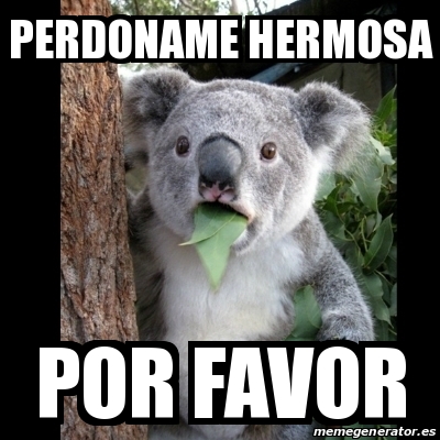 Meme Koala - perdoname hermosa por favor - 19485027