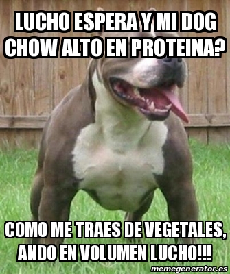 Meme Personalizado - lucho espera y mi dog chow alto en proteina? como ...