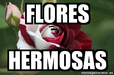 Meme Personalizado - flores hermosas - 19057094
