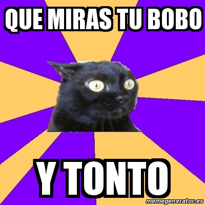 Meme Anxiety Cat - que miras tu bobo y tonto - 19518640