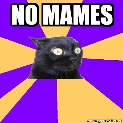 Meme Anxiety Cat - no mames - 19521714