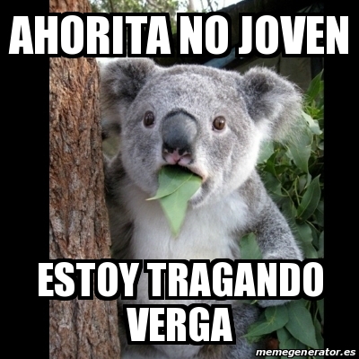 Meme Koala - Ahorita no joven Estoy tragando verga - 19550457