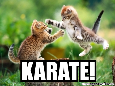 Meme Personalizado - karate! - 19555962