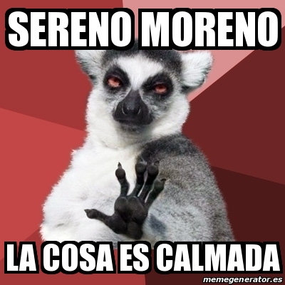 Meme Chill Out Lemur - sERENO MORENO LA COSA ES CALMADA - 19557989