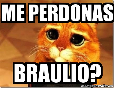 Meme Personalizado - Me perdonas Braulio? - 19572635