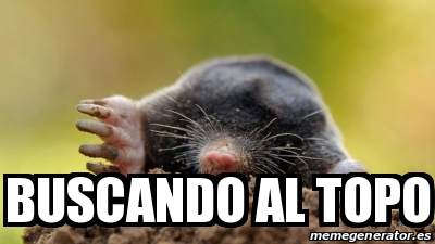 Meme Personalizado - Buscando al topo - 19591734
