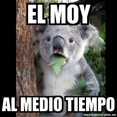Meme Koala - el moy al medio tiempo - 19601406