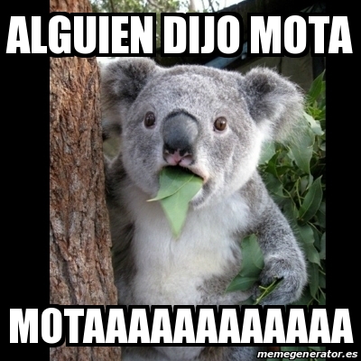 Meme Koala - alguien dijo mota motaaaaaaaaaaaa - 19605756