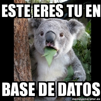 Meme Koala - este eres tu en Base de datos - 19618214
