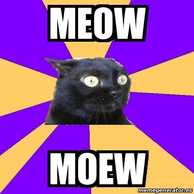 Meme Anxiety Cat - meow moew - 19646400