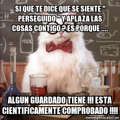 Meme Chemistry Cat - si que te dice que se siente " perseguido " y ...