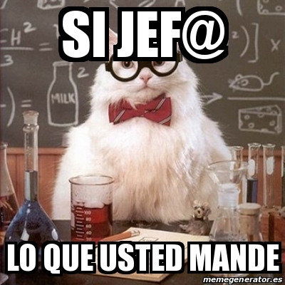 Meme Chemistry Cat - si jef@ lo que usted mande - 19655246