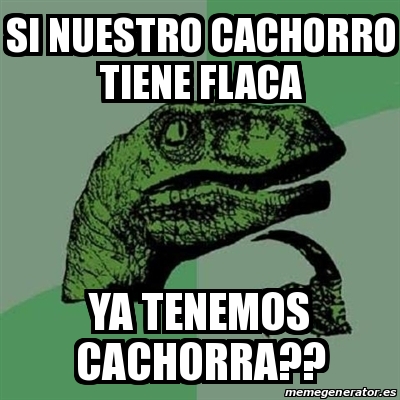 Meme Filosoraptor - si nuestro cachorro tiene flaca ya tenemos cachorra ...