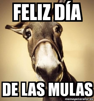Meme Personalizado - feliz día de las mulas - 19690469
