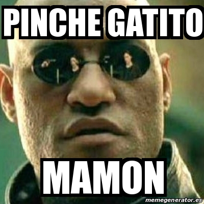Meme What If I Told You - pinche gatito mamon - 19703682