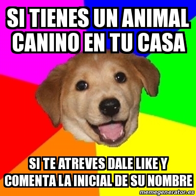 Meme Advice Dog - si tienes un animal canino en tu casa si te atreves ...