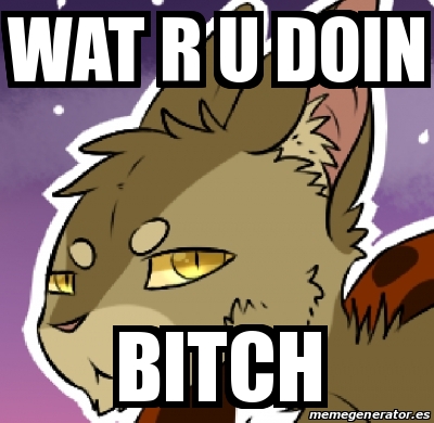 Meme Personalizado - wat r u doin bitch - 19735993