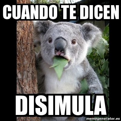 Meme Koala - cuando te dicen disimula - 19795037