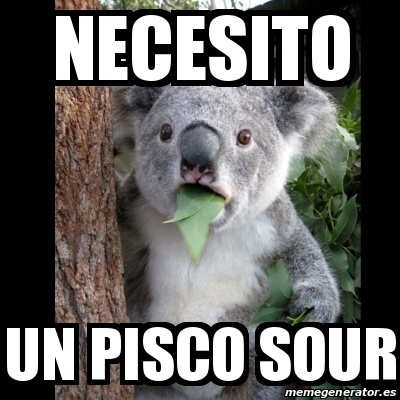 Meme Koala - Necesito Un pisco sour - 19081135