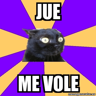 Meme Anxiety Cat - Jue Me vole - 19803465