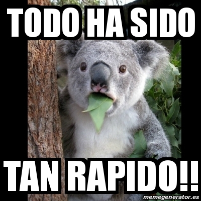 Meme Koala - TODO HA SIDO TAN RAPIDO!! - 19805788