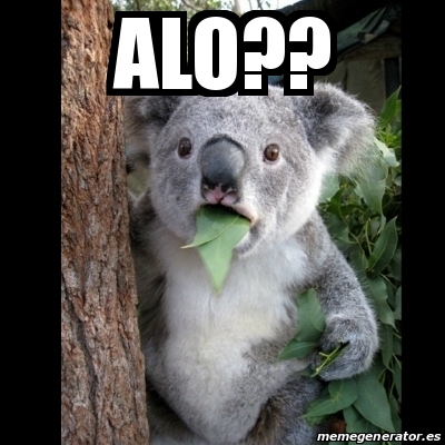 Meme Koala - alo?? - 19805804
