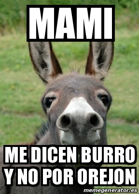 Meme Personalizado - MAMI ME DICEN BURRO Y NO POR OREJON - 19810968