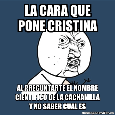 Meme Y U No - La cara que pone Cristina Al preguntarte el nombre ...