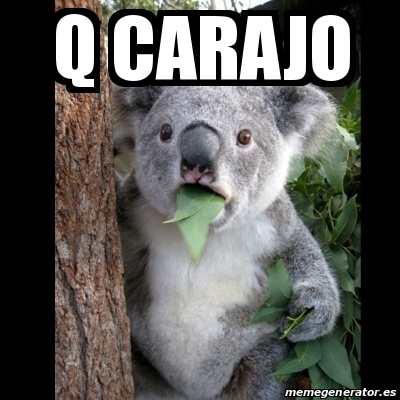 Meme Koala - q carajo - 19855924