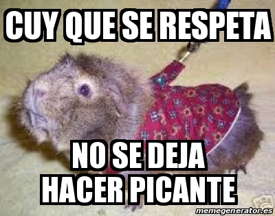 Meme Personalizado - cuy que se respeta no se deja hacer picante - 19864070