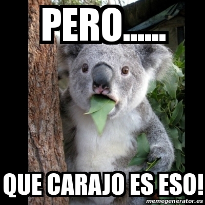 Meme Koala - pero...... que carajo es eso! - 19872659