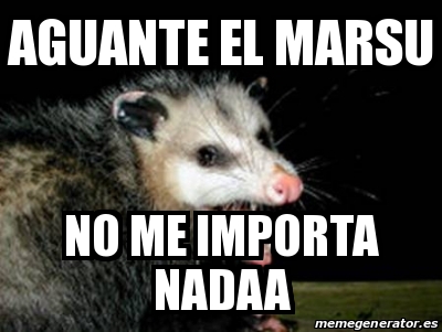 Meme Personalizado - Aguante el marsu no me importa nadaa - 19878629