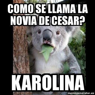 Meme Koala - como se llama la novia de cesar? karolina - 19883544