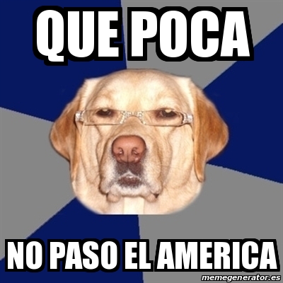 Meme Perro Racista - Que poca NO PASO EL AMERICA - 19883632